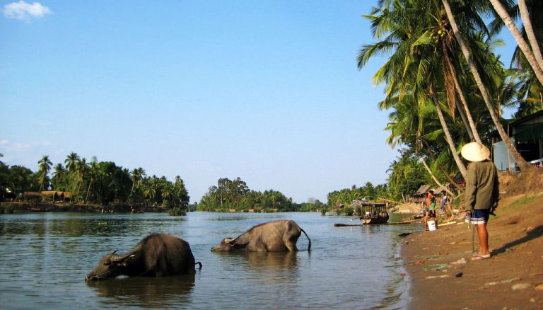 Topics | Open Development Laos